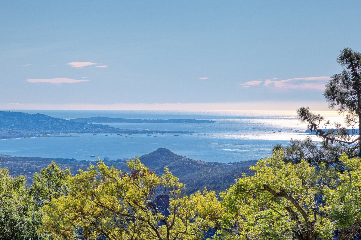 Maison, luxe et prestige, à vendre Les Adrets de l'Esterel - 6 pièces ...